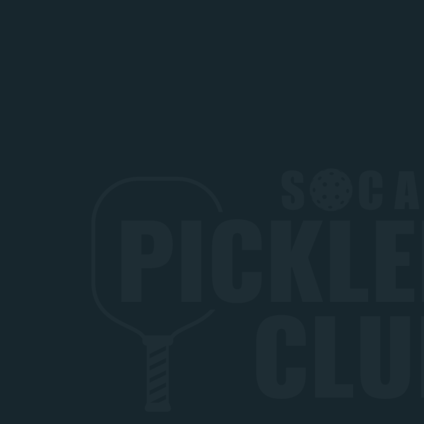 SoCal Pickleball Club – SoCalPickleballClub